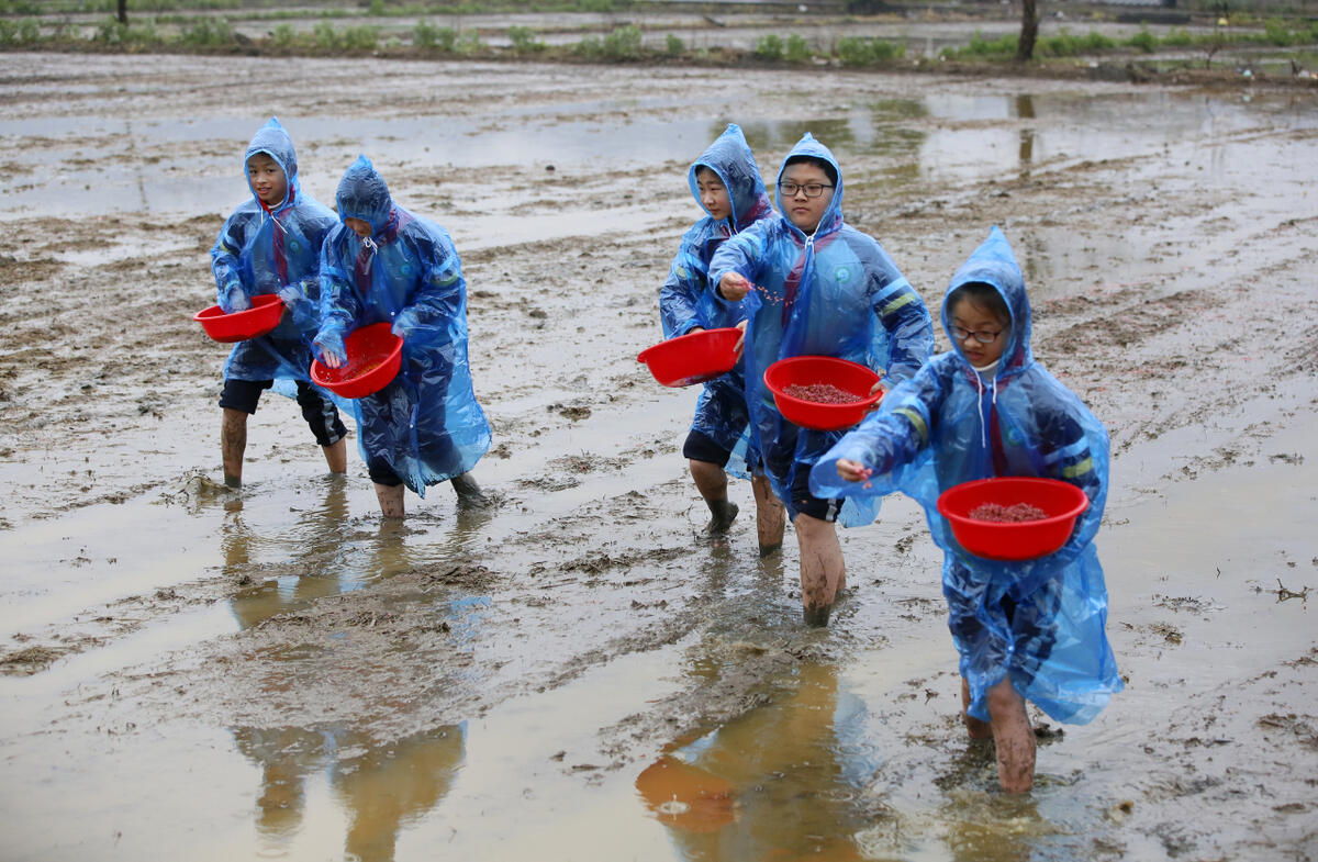 温岭：小“农民”学春播-台州频道